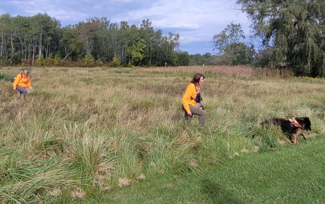 Search & Rescue K-9 Teams assist in missing person search | News, Sports, Jobs - Observer Today